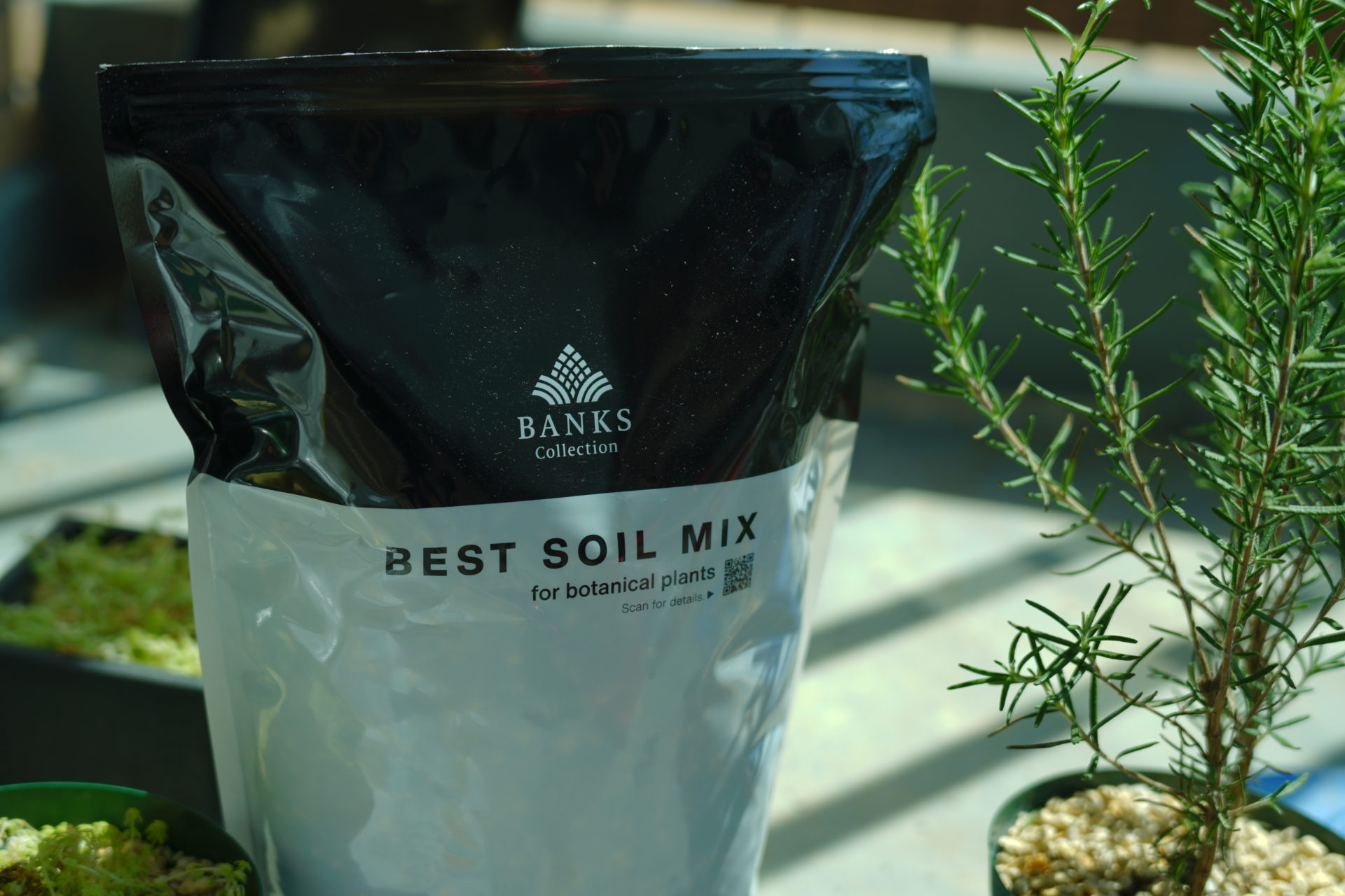 【最高品質の土】best soil mix（ベストソイルミックス）レビュー｜観葉植物におすすめ | みどりのグリーン